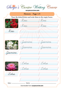 Flower Names in Cursive with Pictures Worksheet - SuryasCursive.com