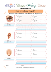 Parts of Body in Cursive with Pictures Worksheet - SuryasCursive.com